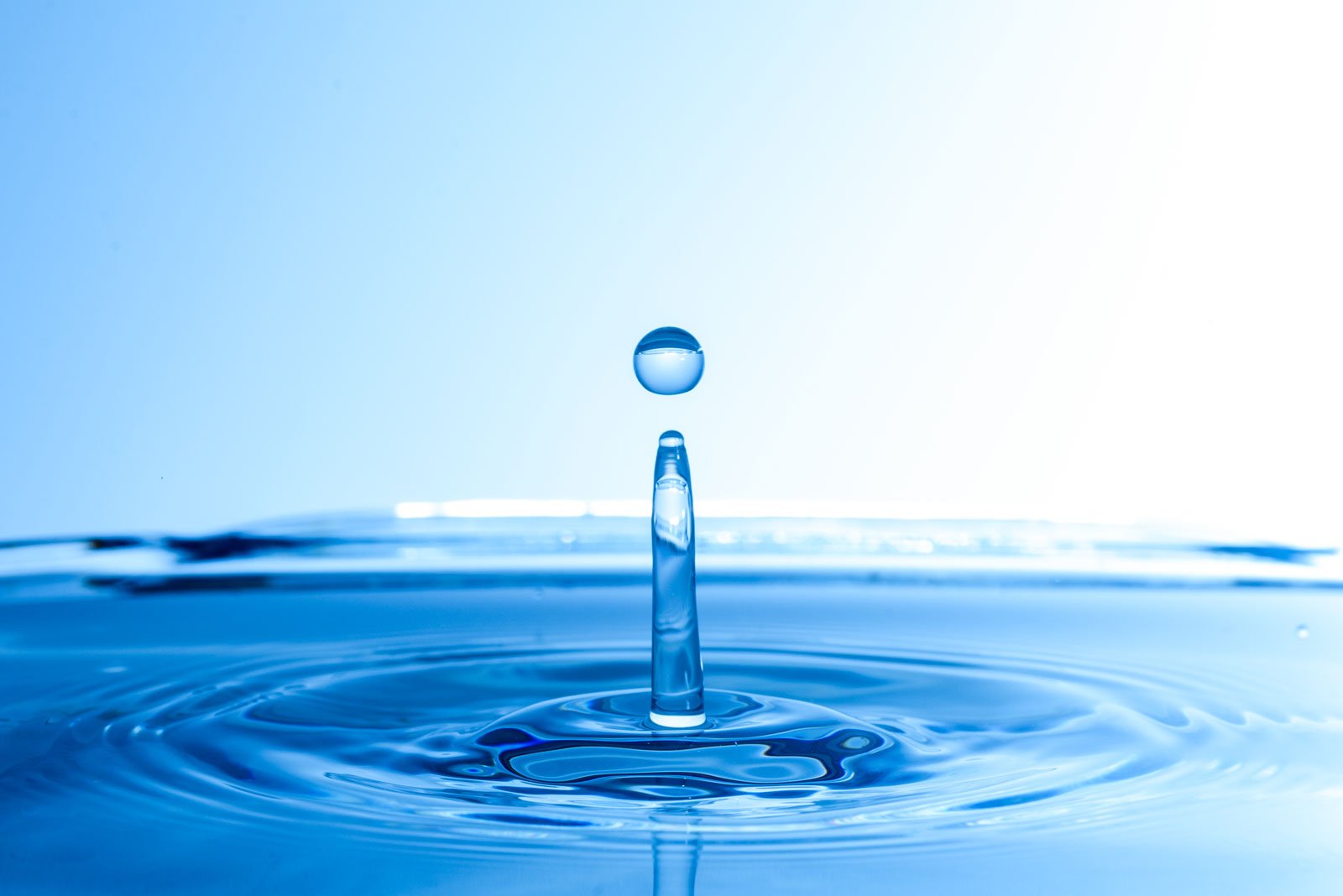 Water Bill Supplier Switching - Switch 2 Save - Black Sheep